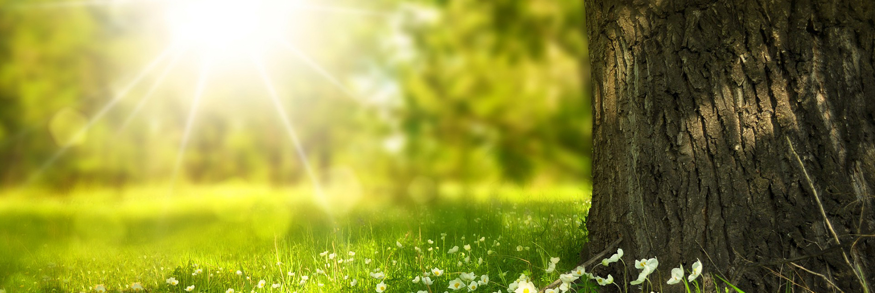 Kontakt | www.swegon.com